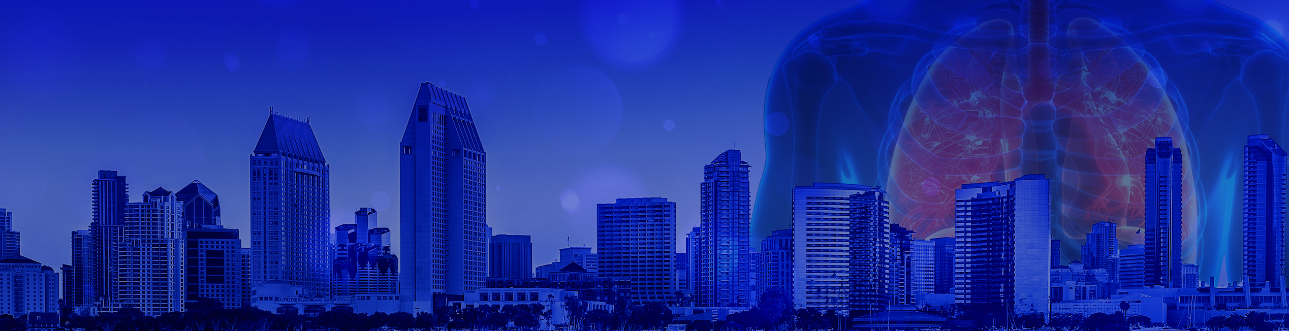 WCLC 2024 - VJOncology