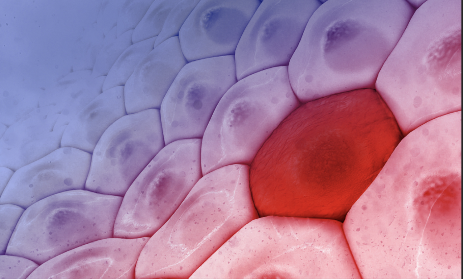 FDA approves pembrolizumab combination with chemotherapy as first-line ...