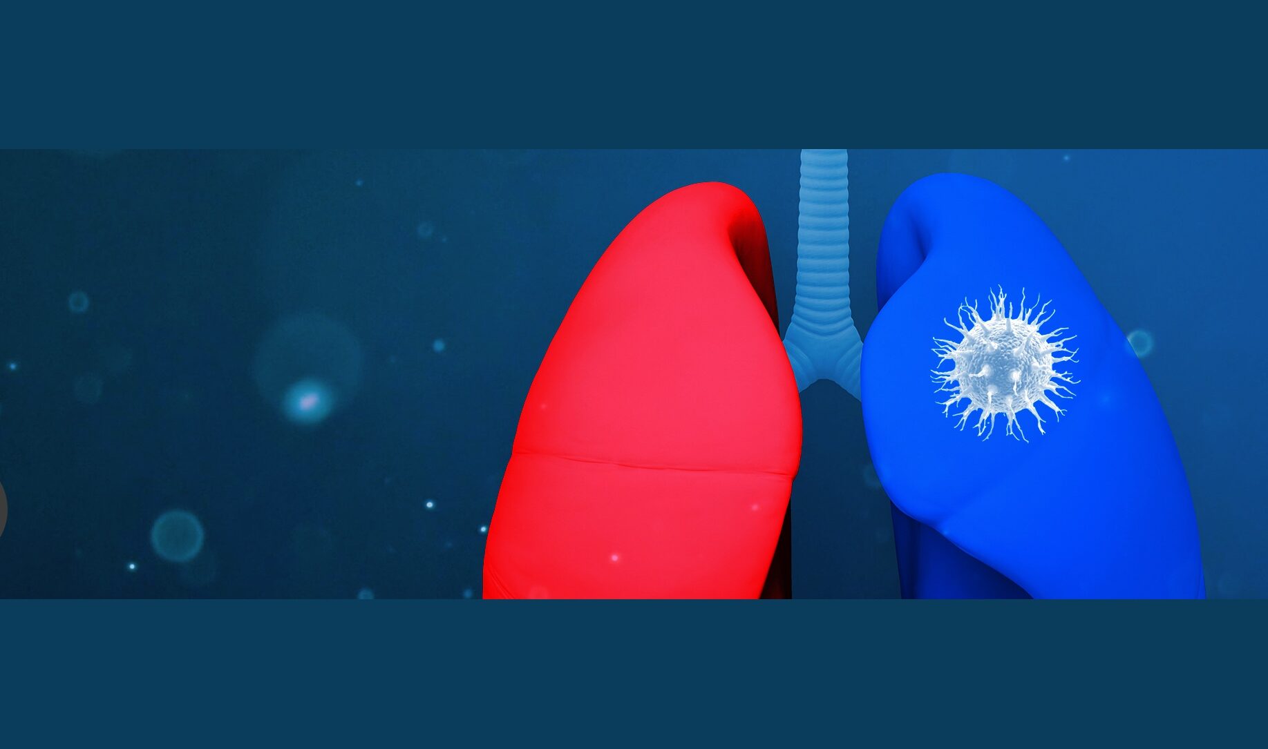 BTOG 2025 - VJOncology